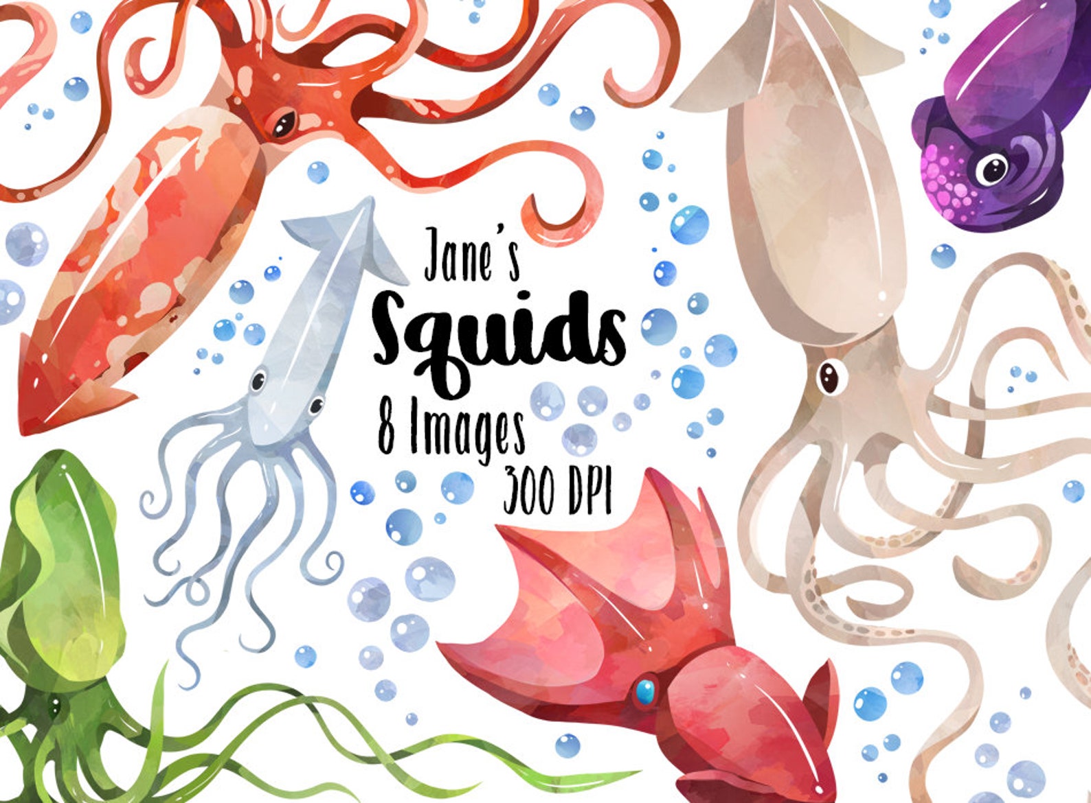 Watercolor Squids Clipart Squid Download Instant Download | Etsy