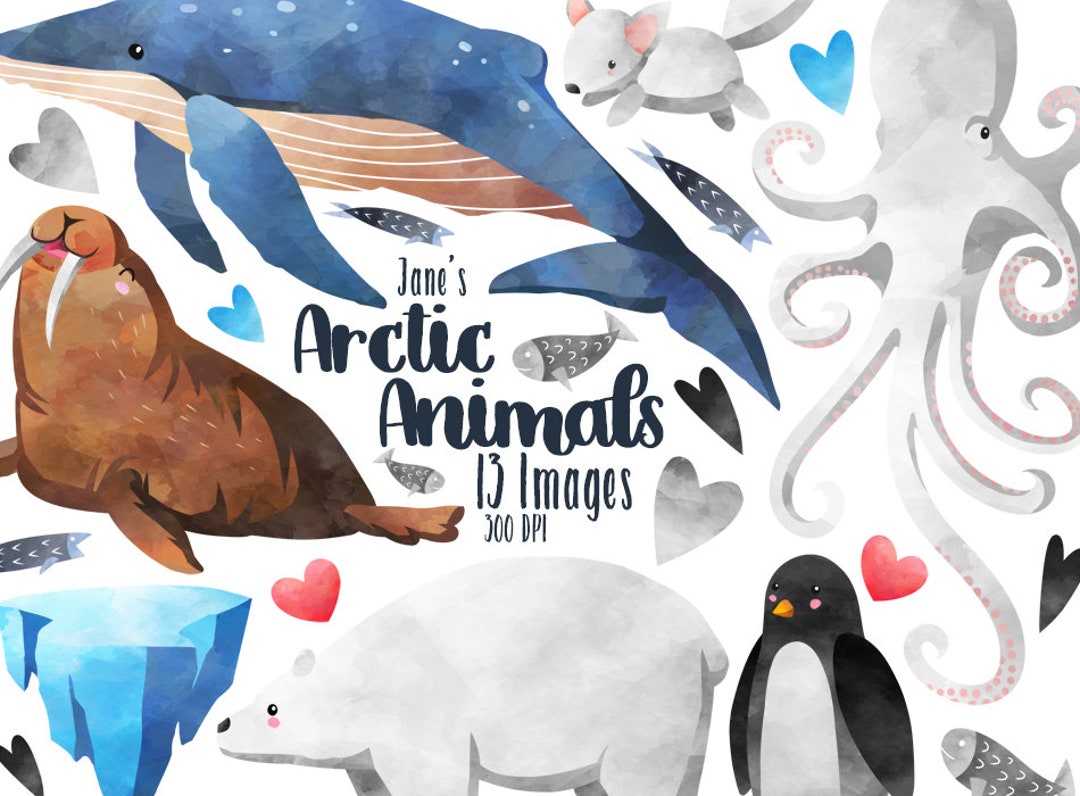 Watercolor Arctic Animals Clipart: Polar Bear, Walrus, Penguin (digital ...