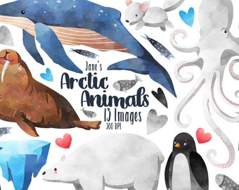 Arctic Animals Watercolor Clipart Winter Clipart Polar Bear - Etsy