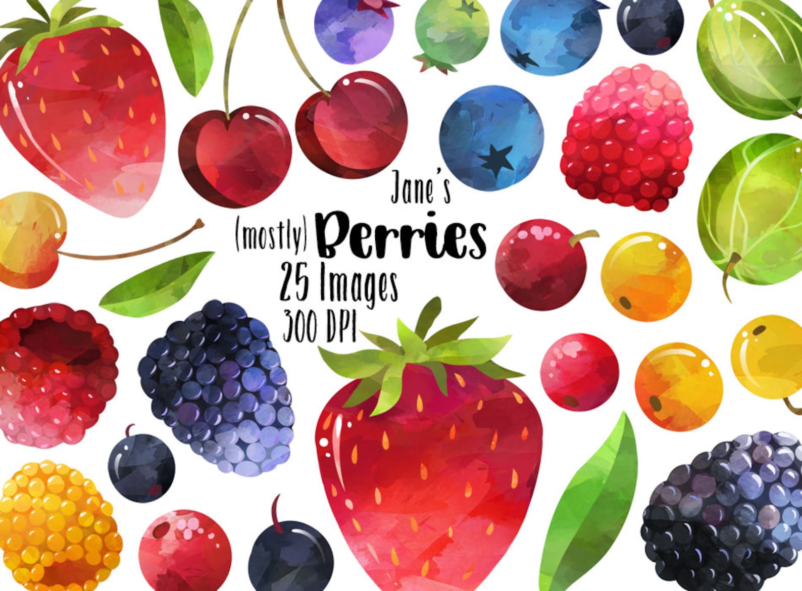 Watercolor Berries Clipart Berry Download Instant Download - Etsy