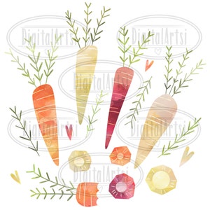 Watercolor Carrots Clipart - Carrot Graphics - Digital Download ...