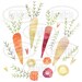 Watercolor Carrots Clipart Carrot Graphics Digital - Etsy
