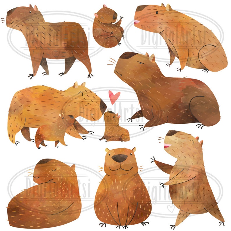 Watercolor Capybara Clipart Capybara Download Instant - Etsy