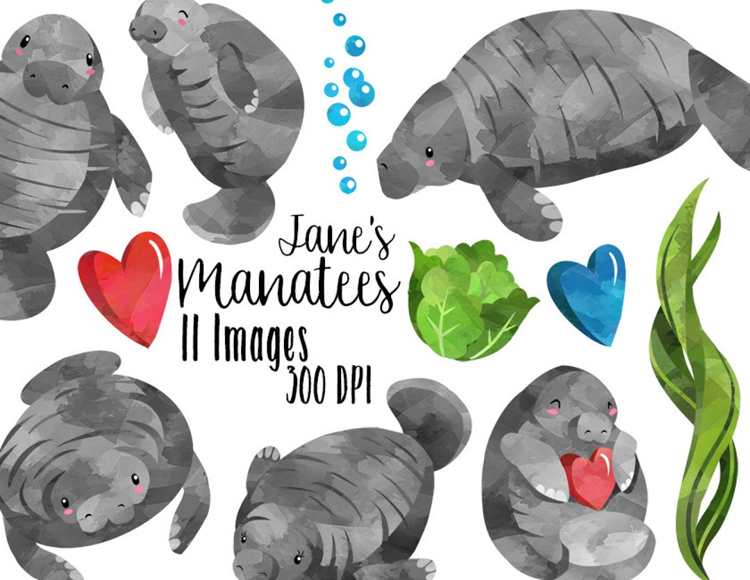 Watercolor Manatees Clipart - Sea Creatures Download - Instant Download ...