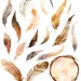 Watercolor Brown Feathers Clipart - Watercolor Feathers Download ...