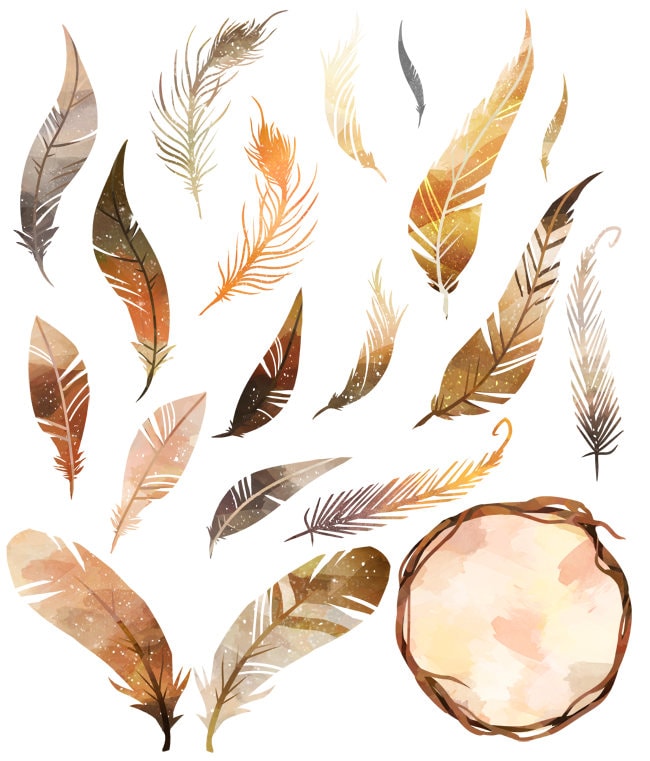 Watercolor Brown Feathers Clipart: Boho Feather Graphics (instant ...
