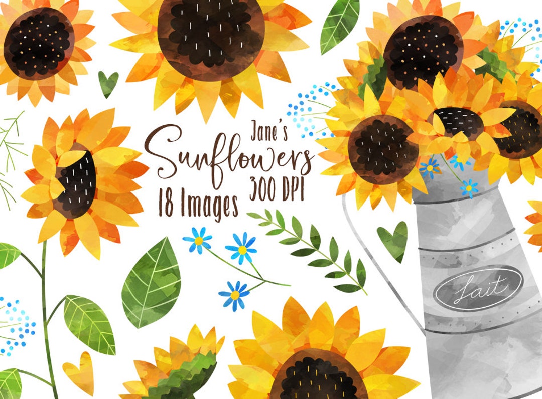 Watercolor Sunflower Clipart: Floral PNG Images (digital Download, Hand ...