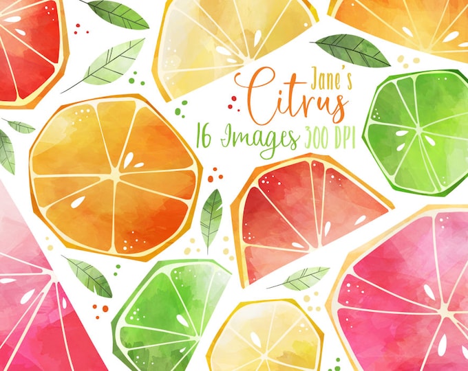 Watercolor Citrus Clipart, Lemon Fruit Illustration, Grapefruit Artwork ...