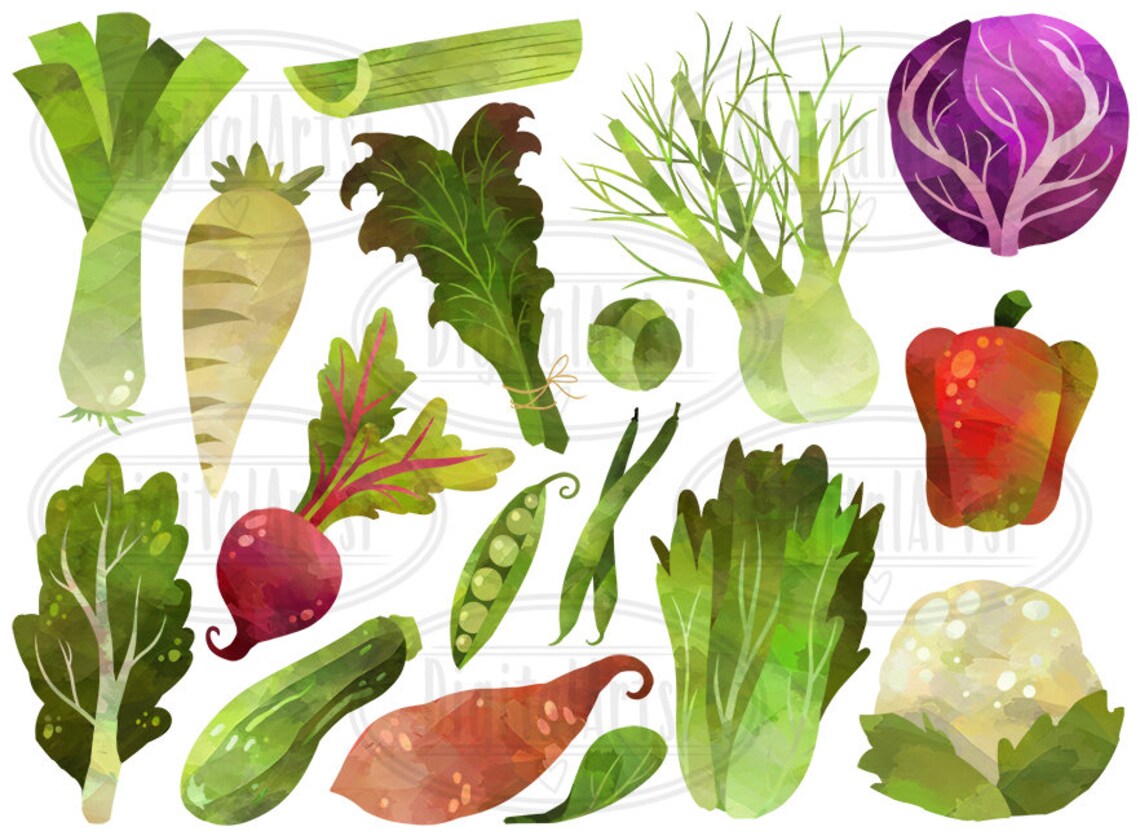 Watercolor Vegetables Clipart Healthy Food Download - Etsy
