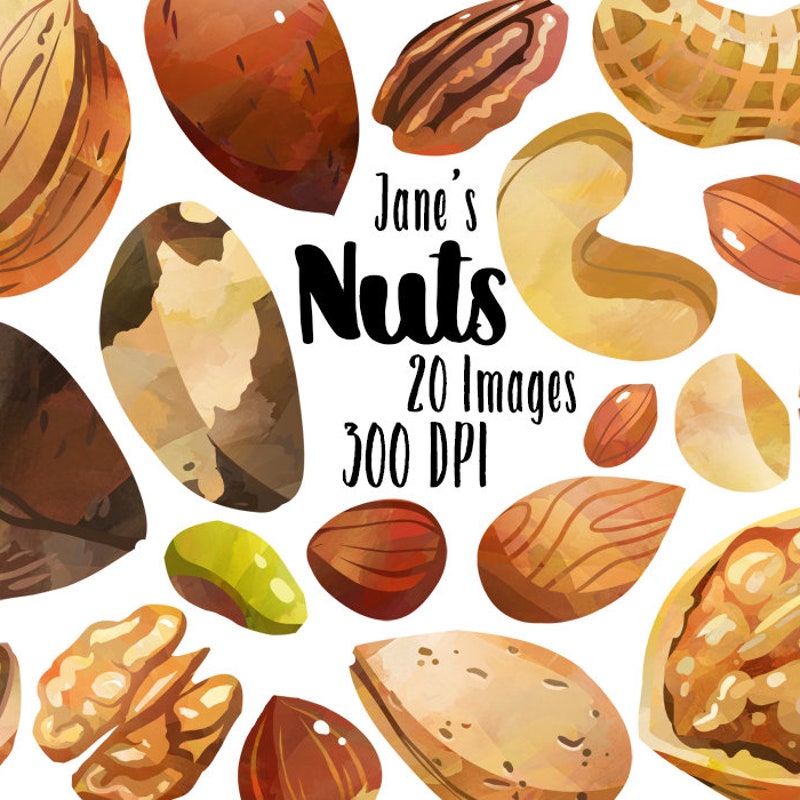 Walnut Art Nut Shell - Etsy