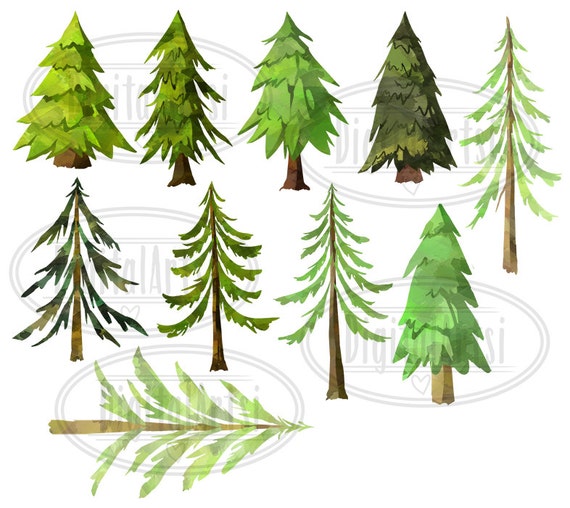 Coniferous Trees Clipart