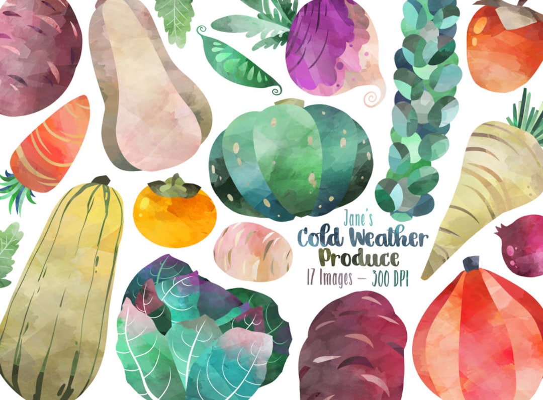Watercolor Cold Weather Produce Clipart - Vegetables Download - Instant ...