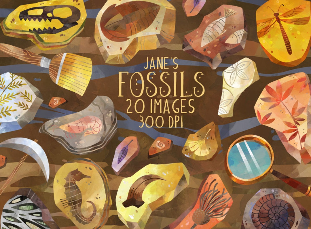 Watercolor Fossils Clipart Paleontology Download Instant Download ...