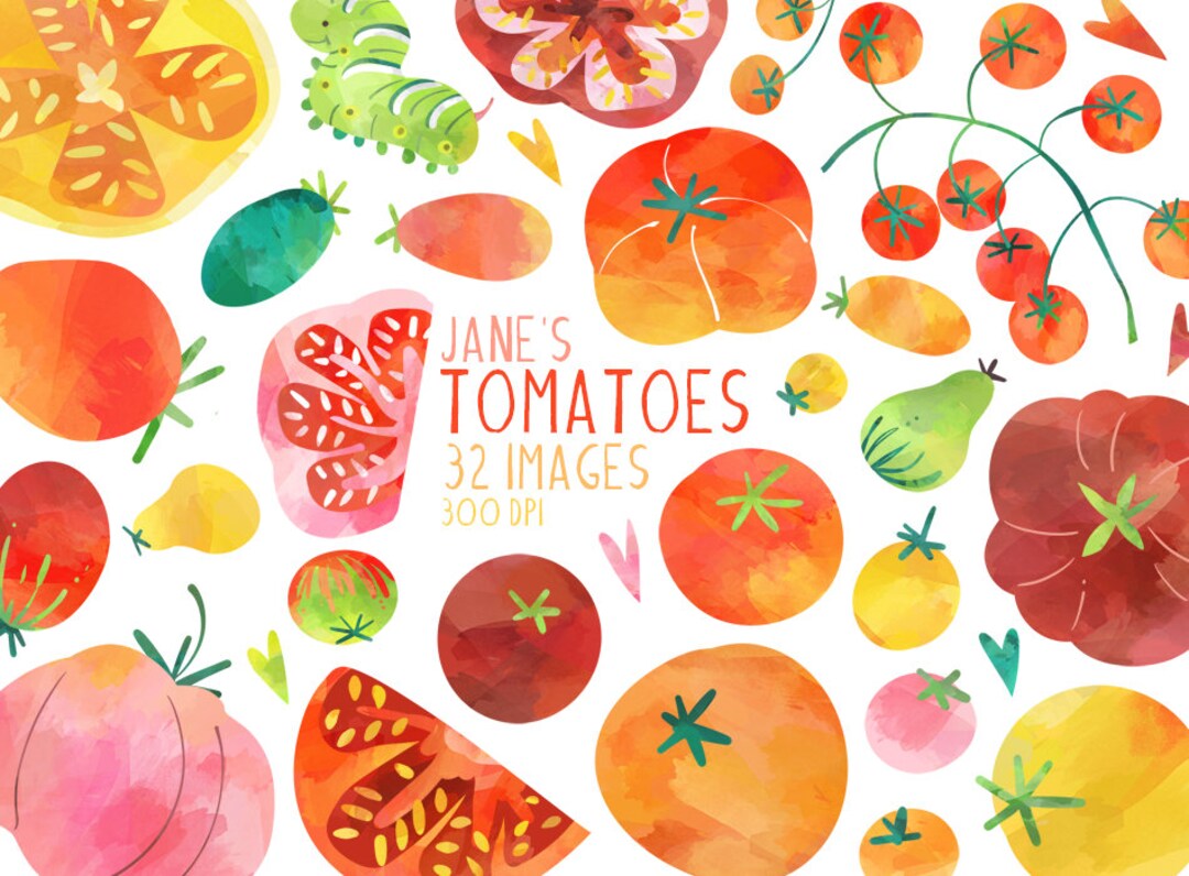 Watercolor Tomatoes Clipart - Tomato Graphics - Digital Download ...