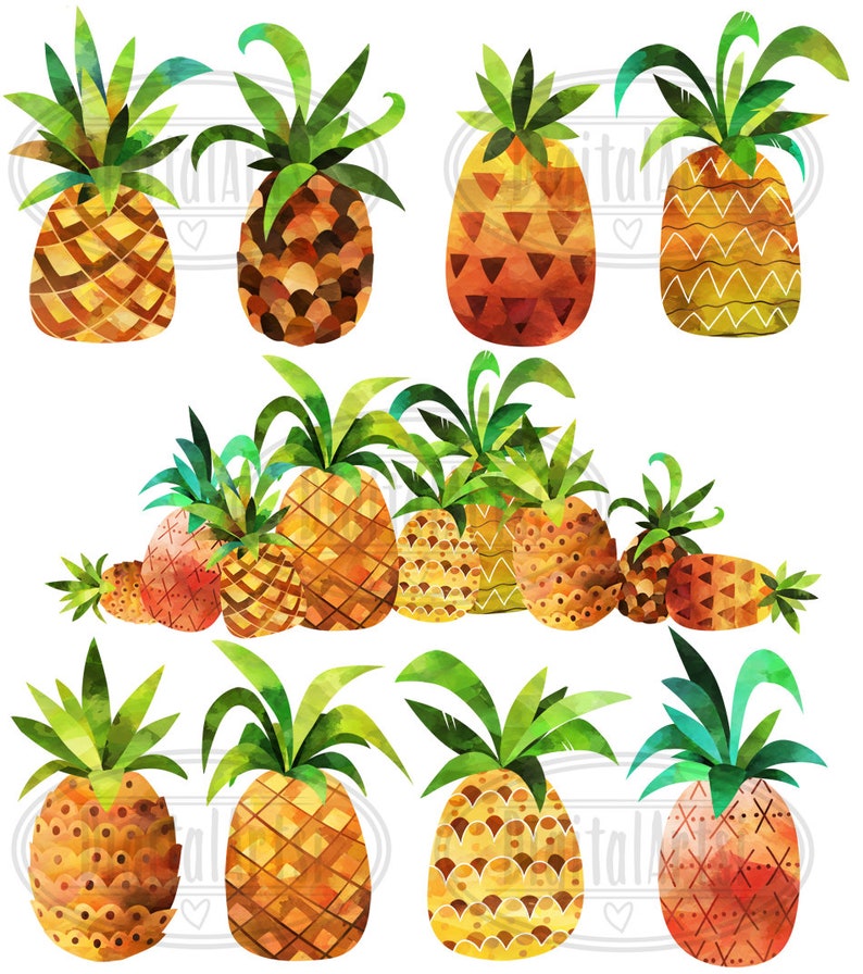 Watercolor Pineapple Clipart: Tropical Fruit PNG Images (digital ...