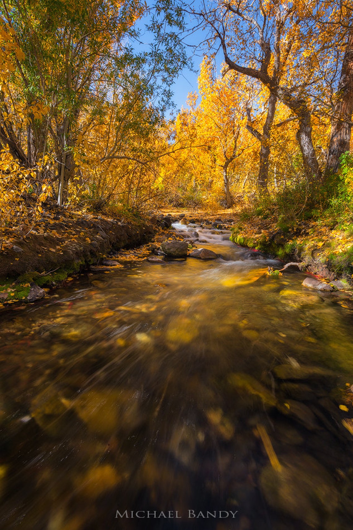 Mcgee Creek - Landscape Photo of the Fall Colors at a Creek. - Etsy