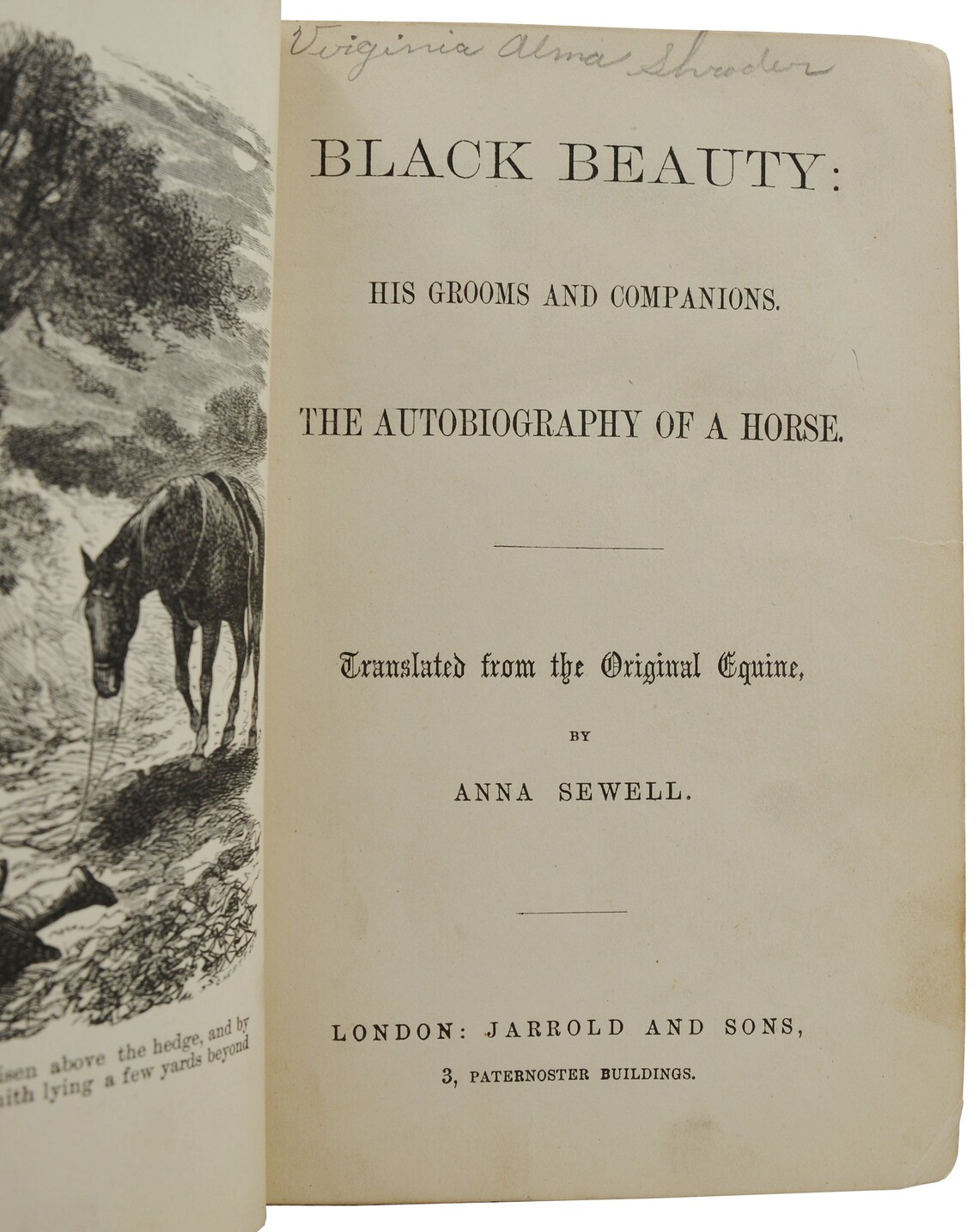 Black Beauty ~ ANNA SEWELL ~ First Edition ~ 1st Printing 1877 - Etsy