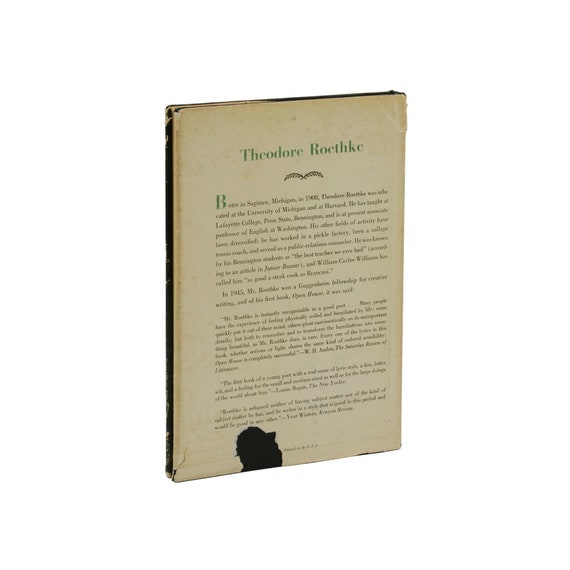 Theodore Roethke The Lost Son