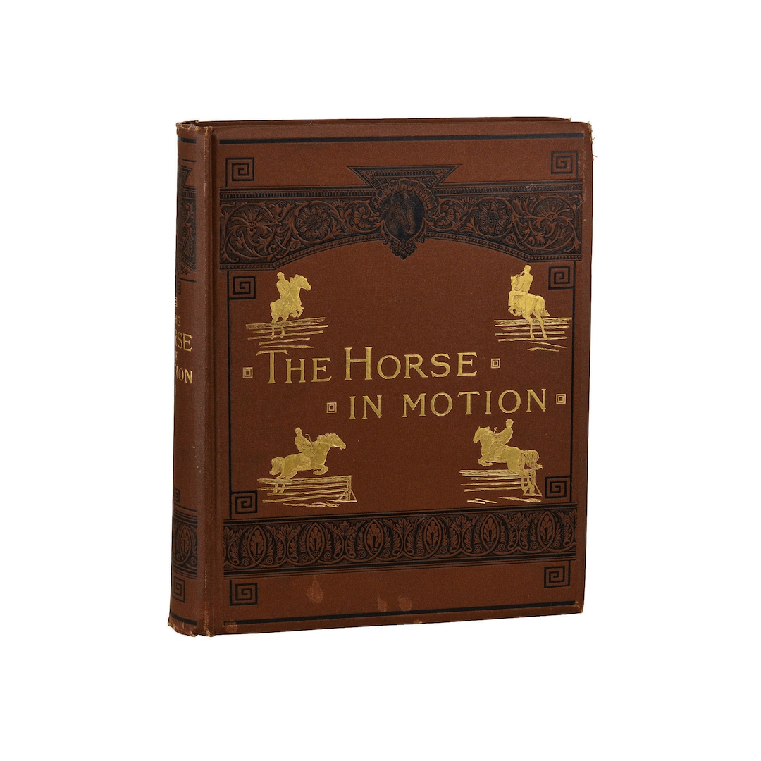 The Horse in Motion ~ Eadweard Muybridge ~ First Edition 1872 ~ 1st ...