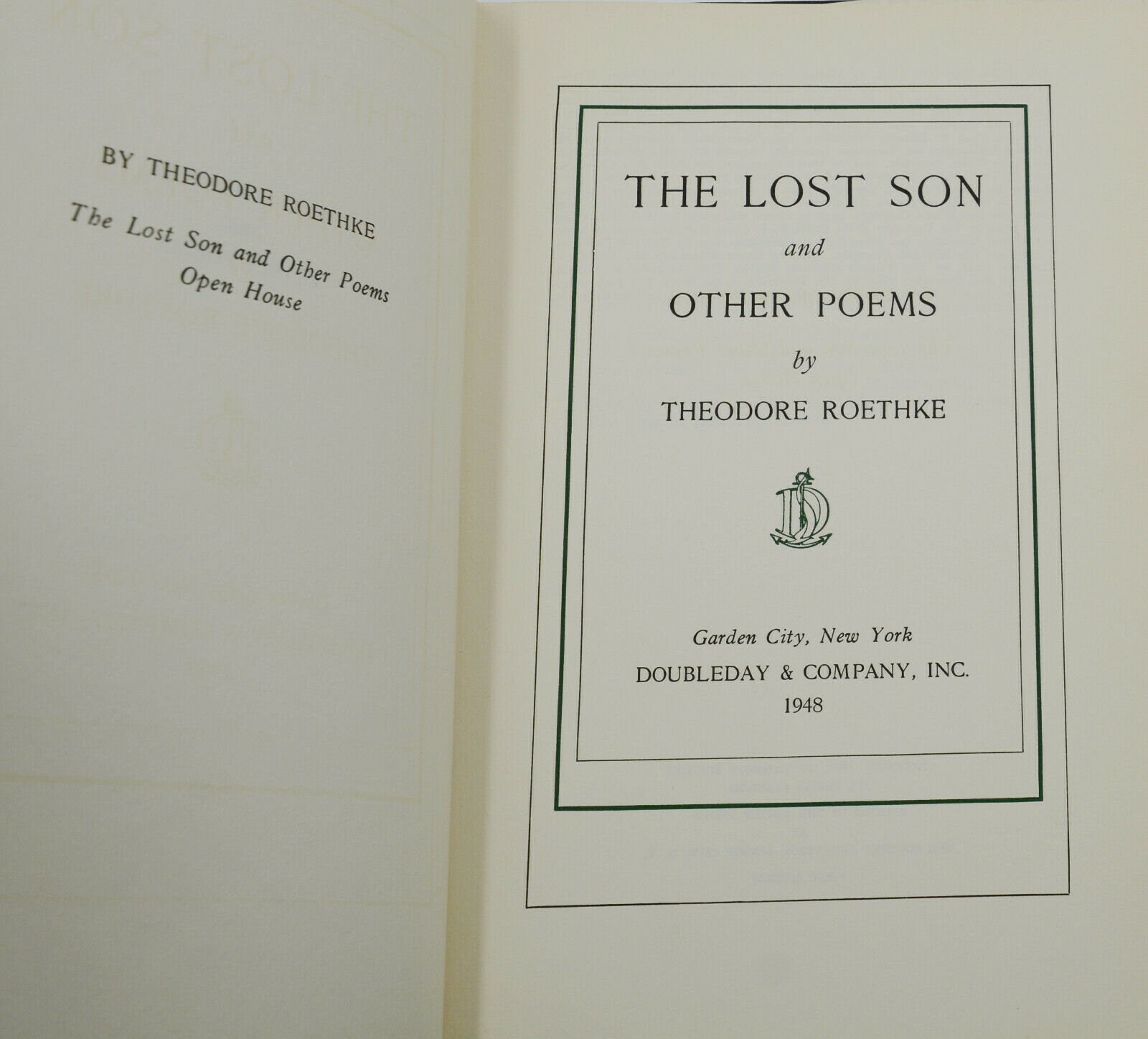 Theodore Roethke The Lost Son