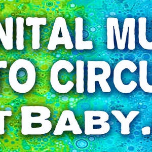 Stop Genital Mutilation Say NO to Circumcision Bumper Sticker - Etsy