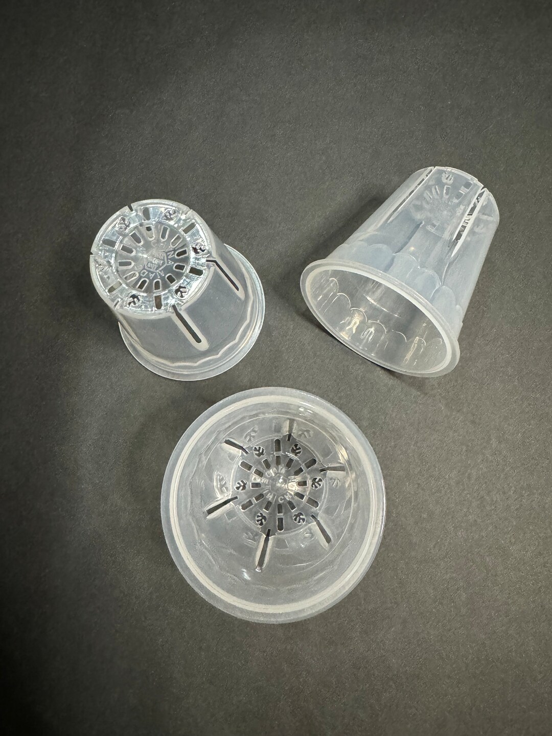 Small Clear Round Nursery and Seedling Pot Container Study Clear Pot 2. ...