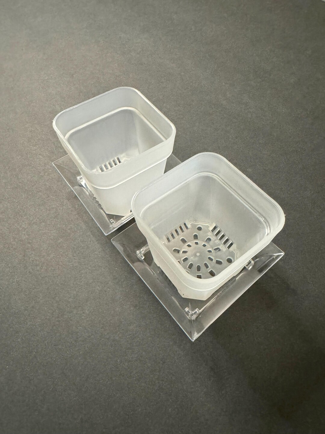 Small Translucent 2 Inch Square Nursery and Seedling Pot Container ...