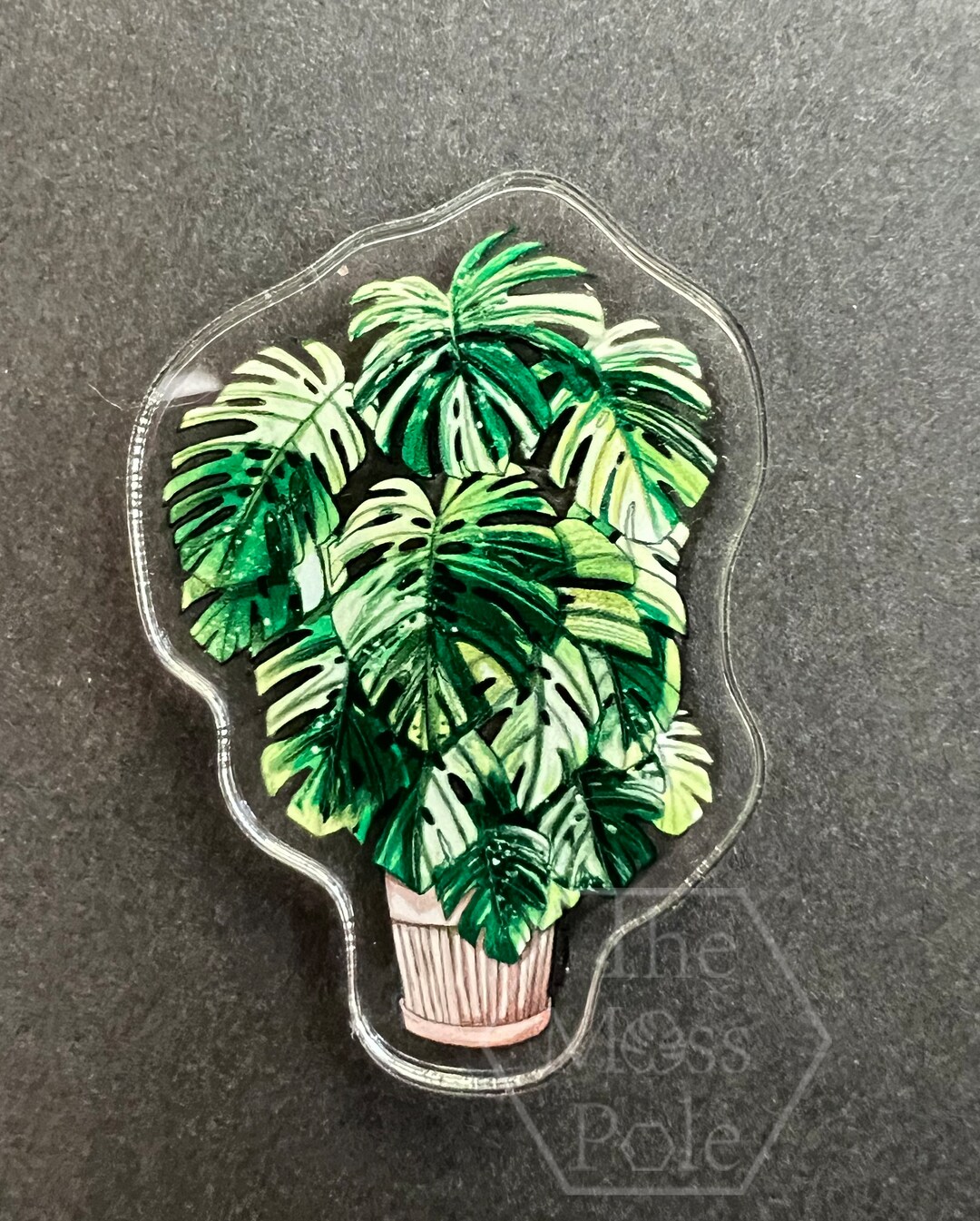 Monstera Albo Plant Magnet | Plant Lover Gift | Plant Kitchen Decor ...