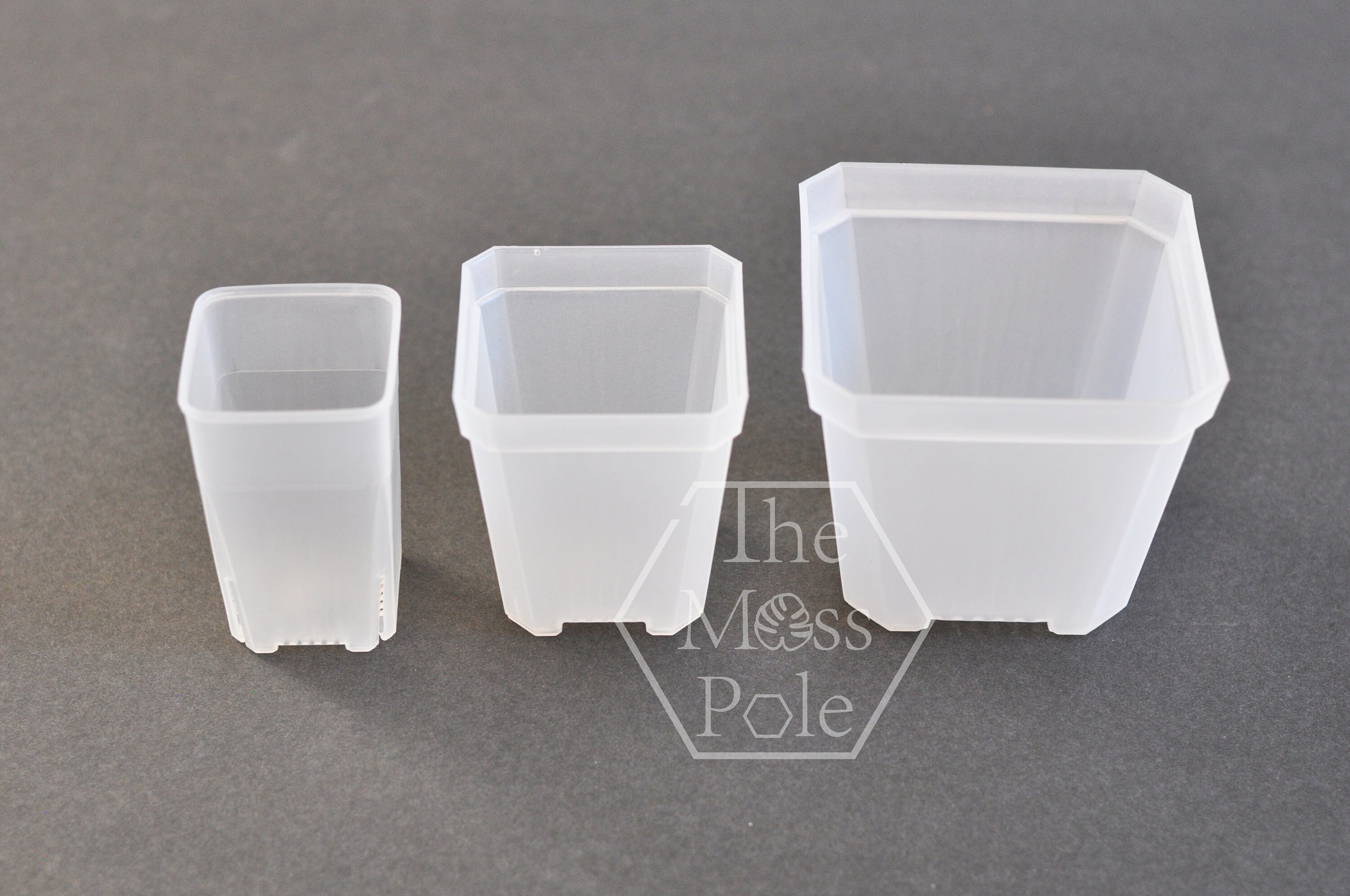 Clear Plastic Square Nursery and Seedling Pot Container Study - Etsy
