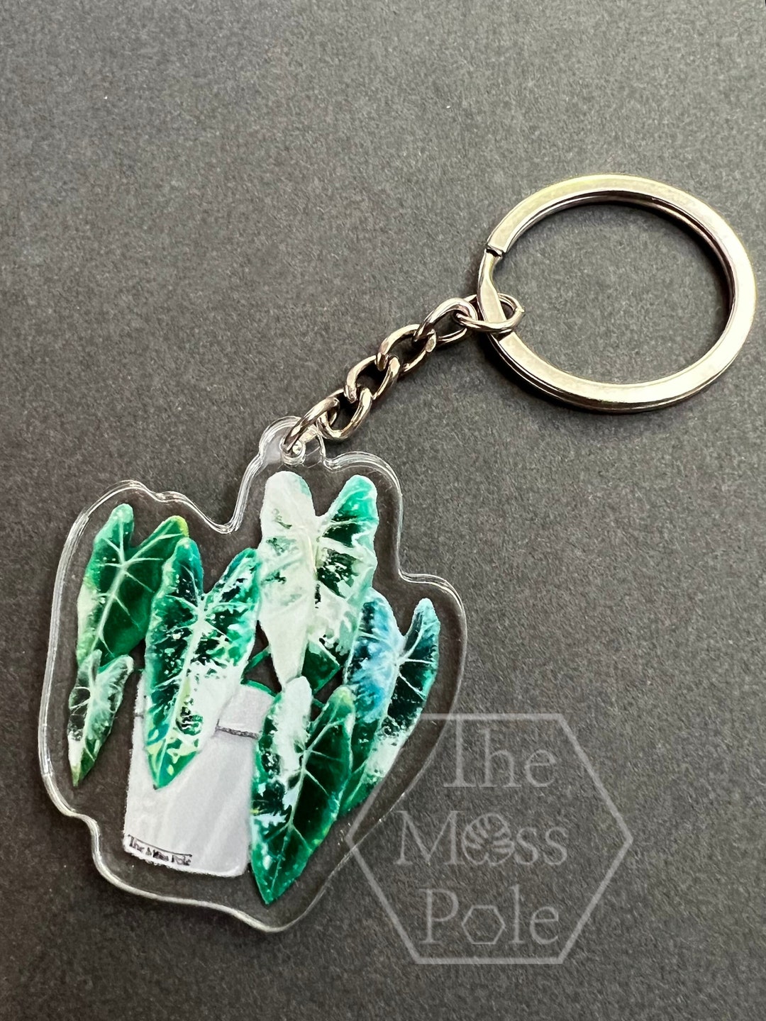 Alocasia Frydek Variegated Keychain | Plant Gifts House Plant Lover ...