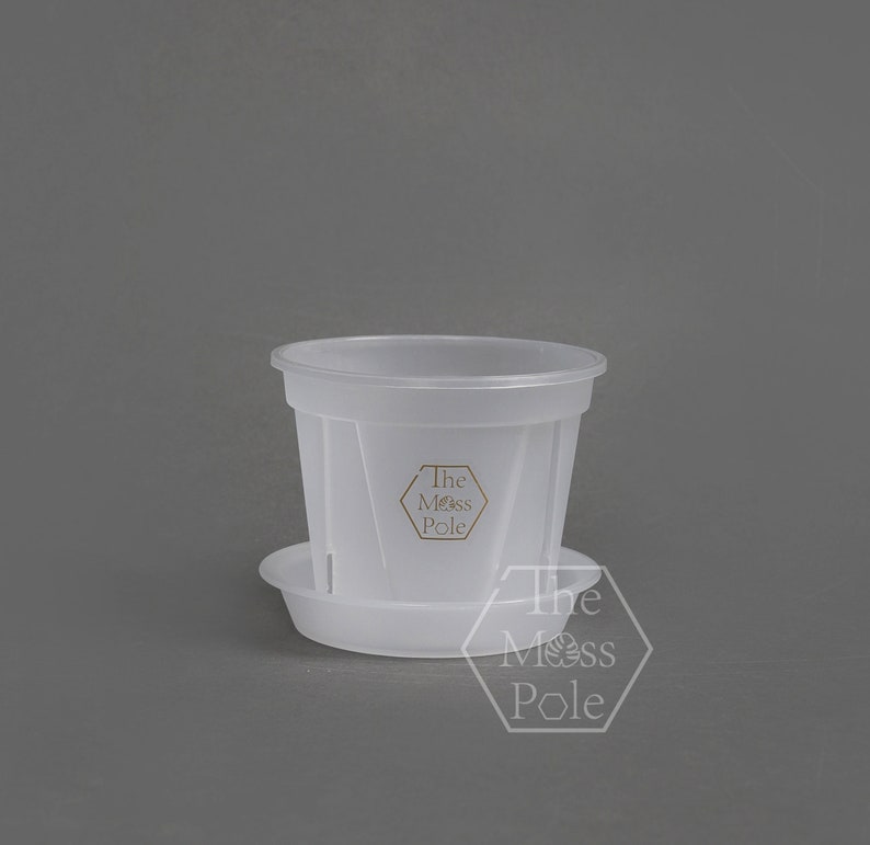 High Quality Clear Transparent Plant Pots With Good Drainage - Etsy