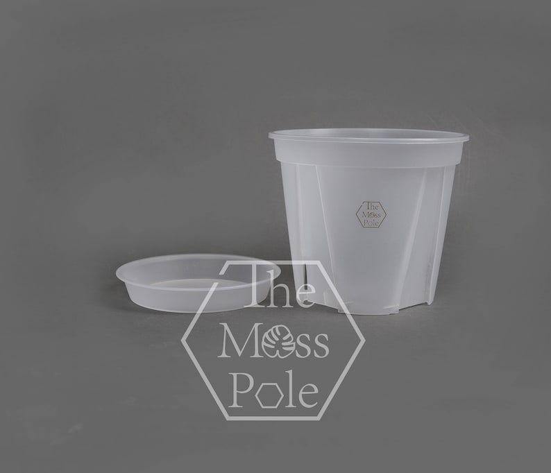 High Quality Clear Transparent Plant Pots With Good Drainage - Etsy