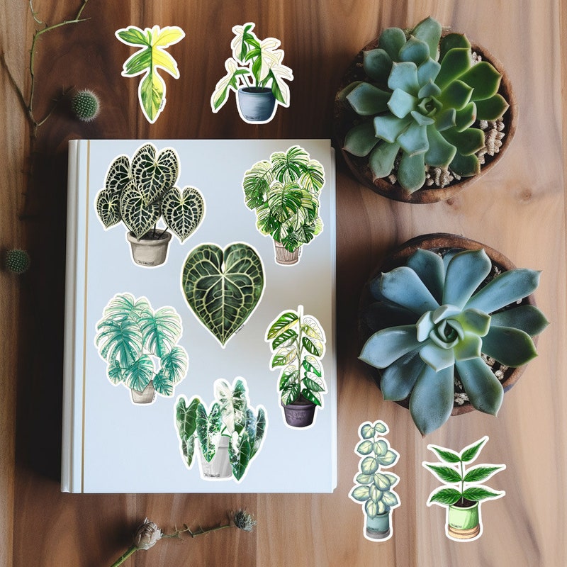 Plant Stickers - Etsy