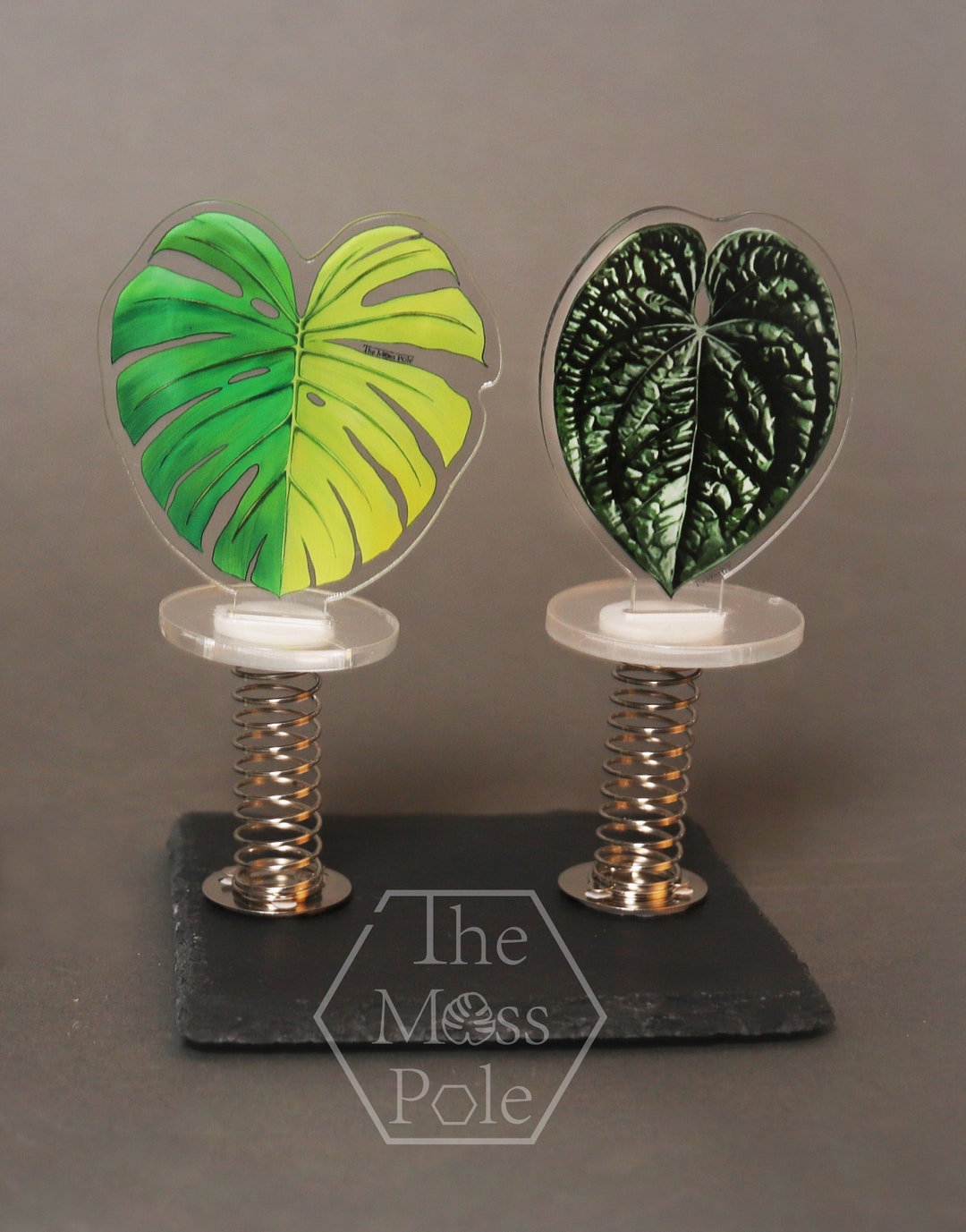 Elegant Anthurium Car Decor Set - Modern Plant Lover Gift for Dashboard ...