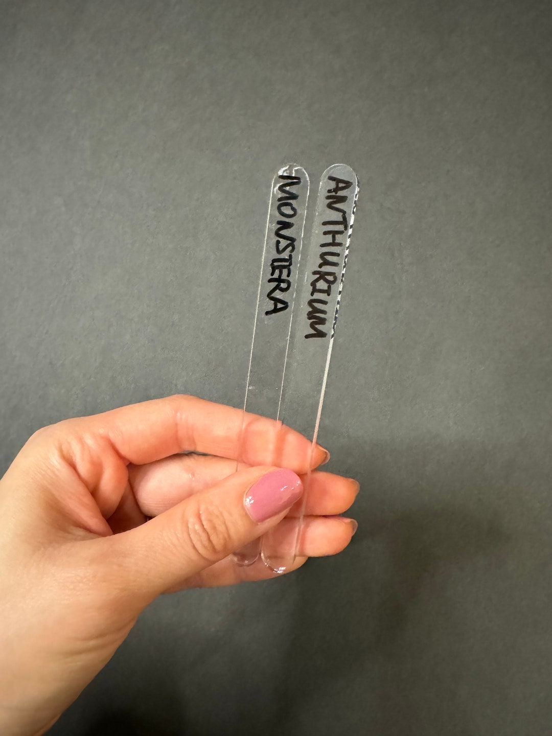 Planting Tags | Plant Name Tag | Clear Plant Label | Transparent Plant ...