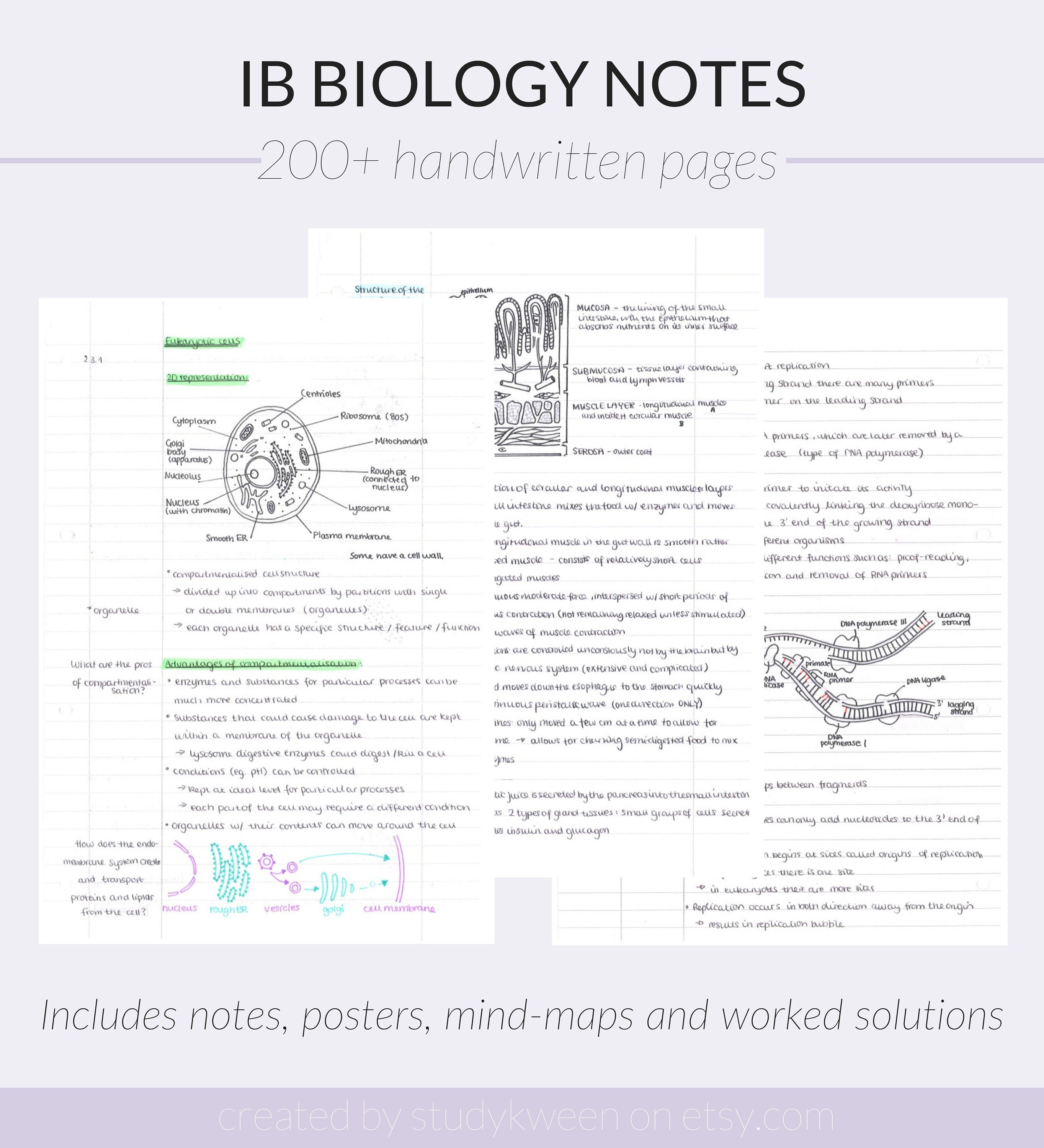 Ib Biology Notes Reproduction In Angiospermophytes My XXX Hot Girl Ib Biology Notes Reproduction In Angiospermophytes My XXX Hot Girl