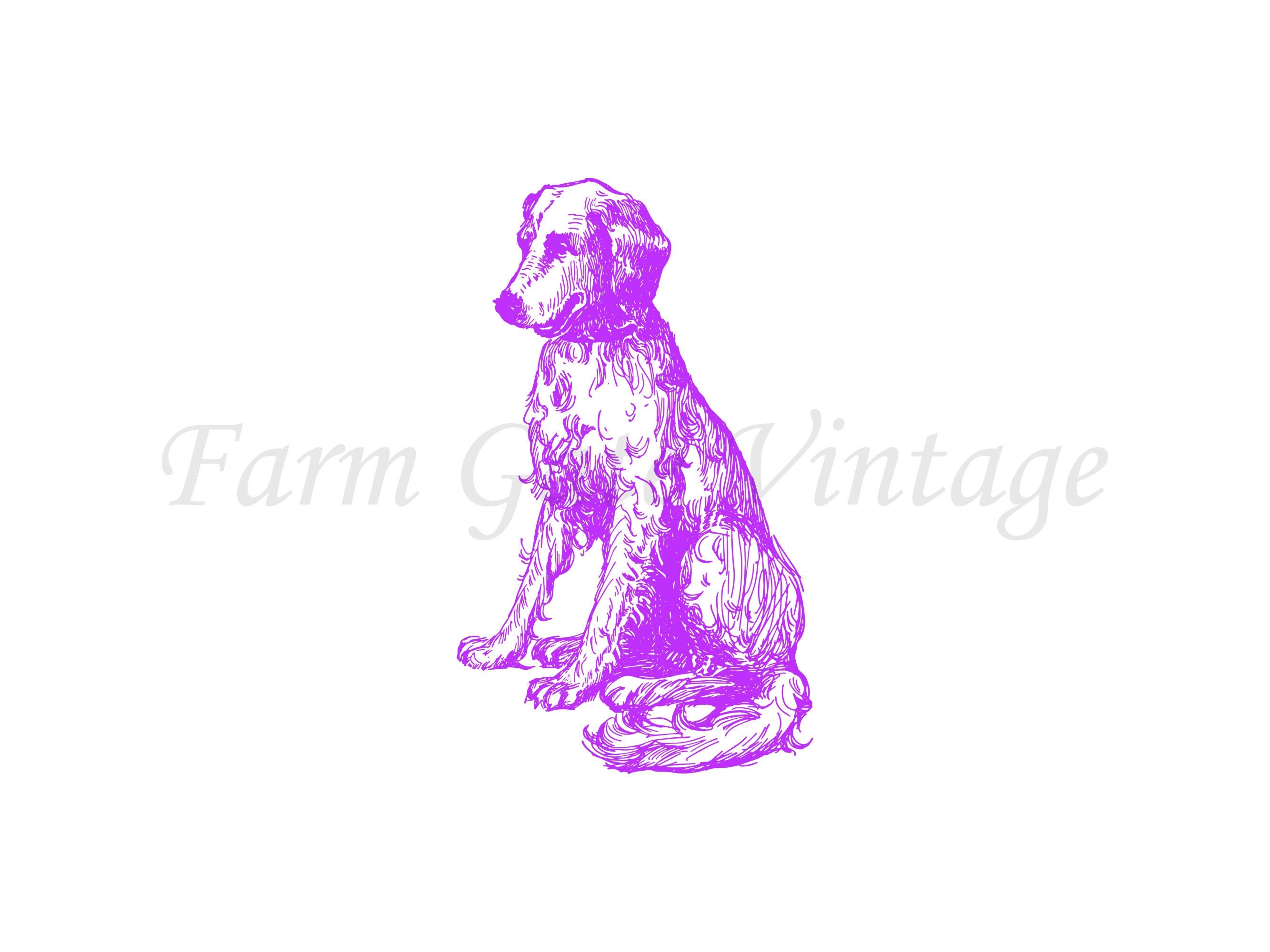 Farm Dog Clipart