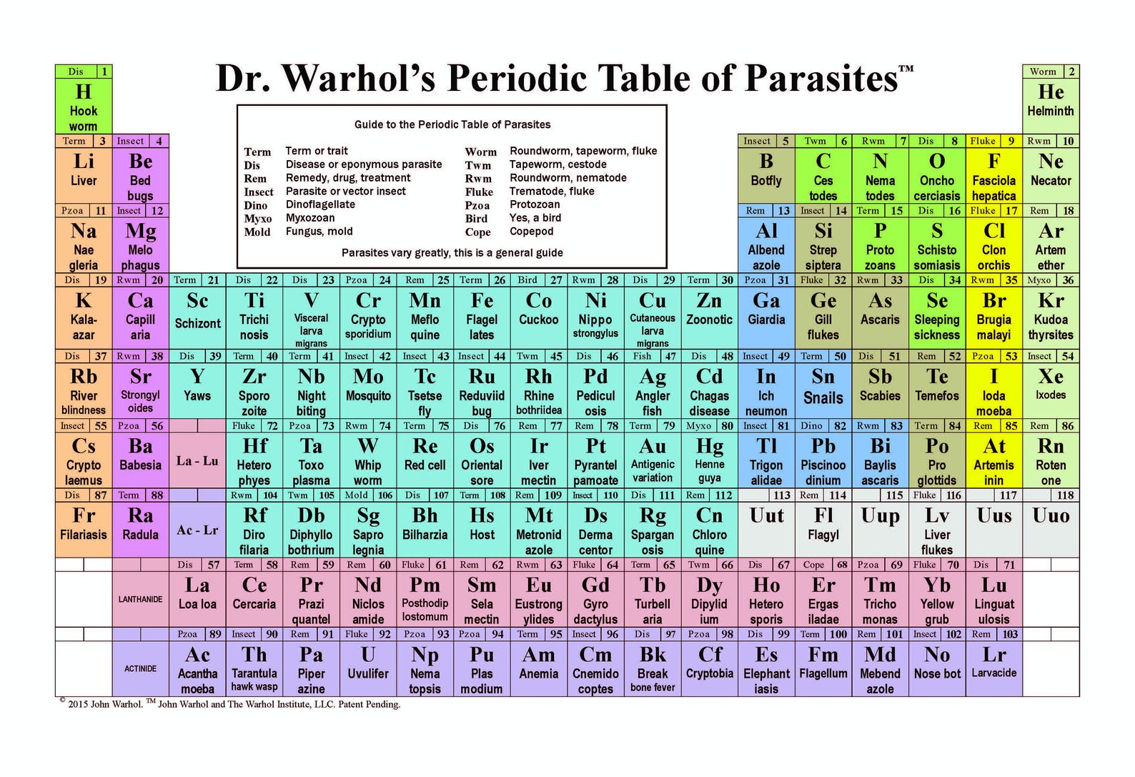 Dr Warhol's Periodic Table of Parasites - Etsy