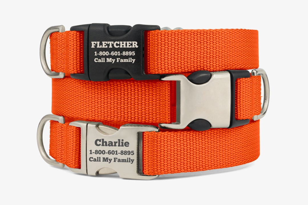 Personalized Dog Collar, Custom Dog Collar, Engraved Dog Collar, Bright ...
