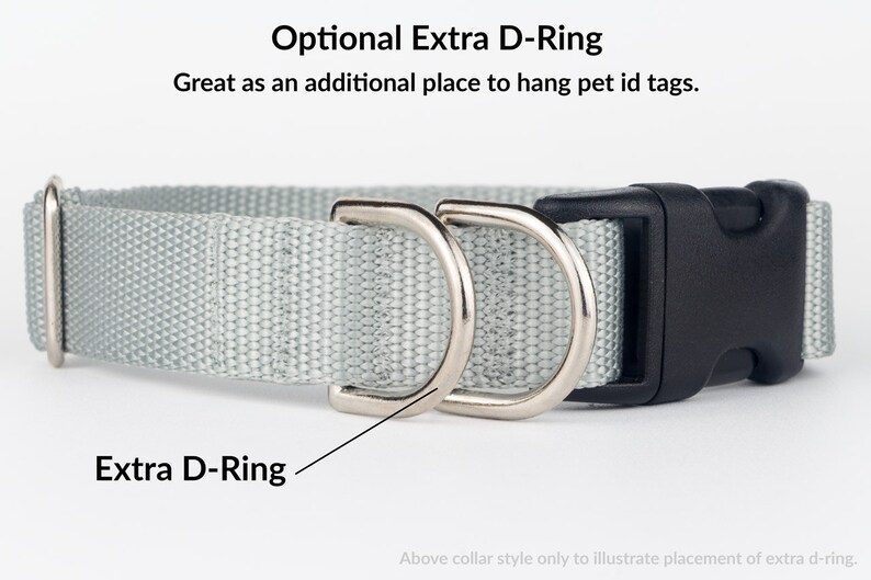 Extra D-ring Upgrade for Dog Collars - Etsy
