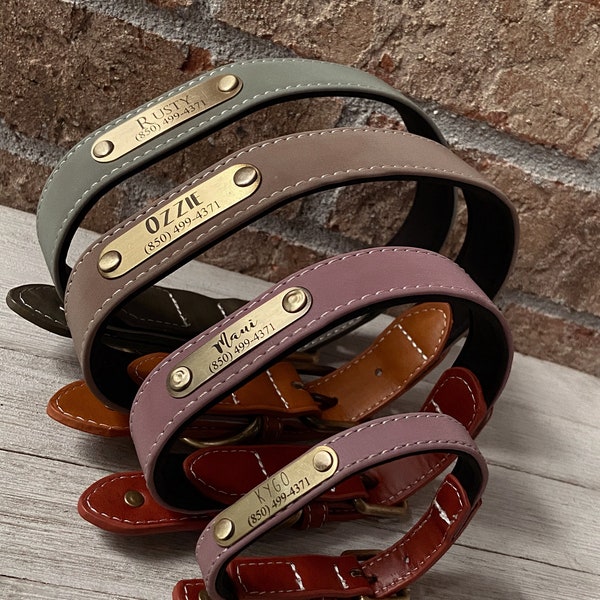 Brass Dog Collar - Etsy