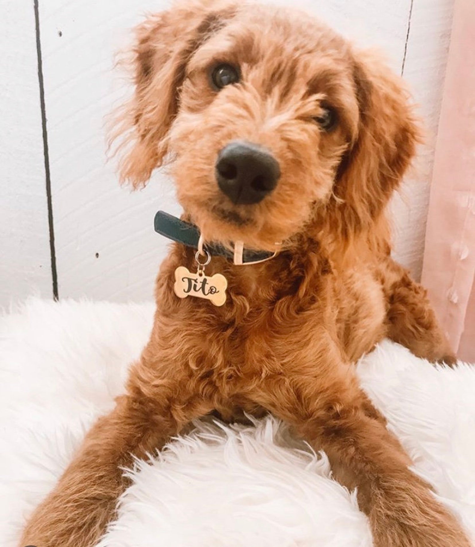 Custom Dog Tag in Gold Silver Rose Gold or Black Engraved - Etsy