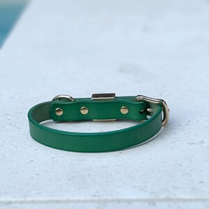 Green Leather Dog Collar, Personalized Pet Collar, Brass Plate Collar ...
