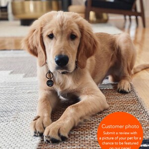 Microchip Dog Tag Custom Dog Tag Microchipped Pet Tag Dog - Etsy