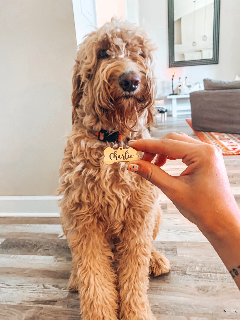 Personalized Dog Bone Tag Silver Gold Rose Gold or Black | Etsy