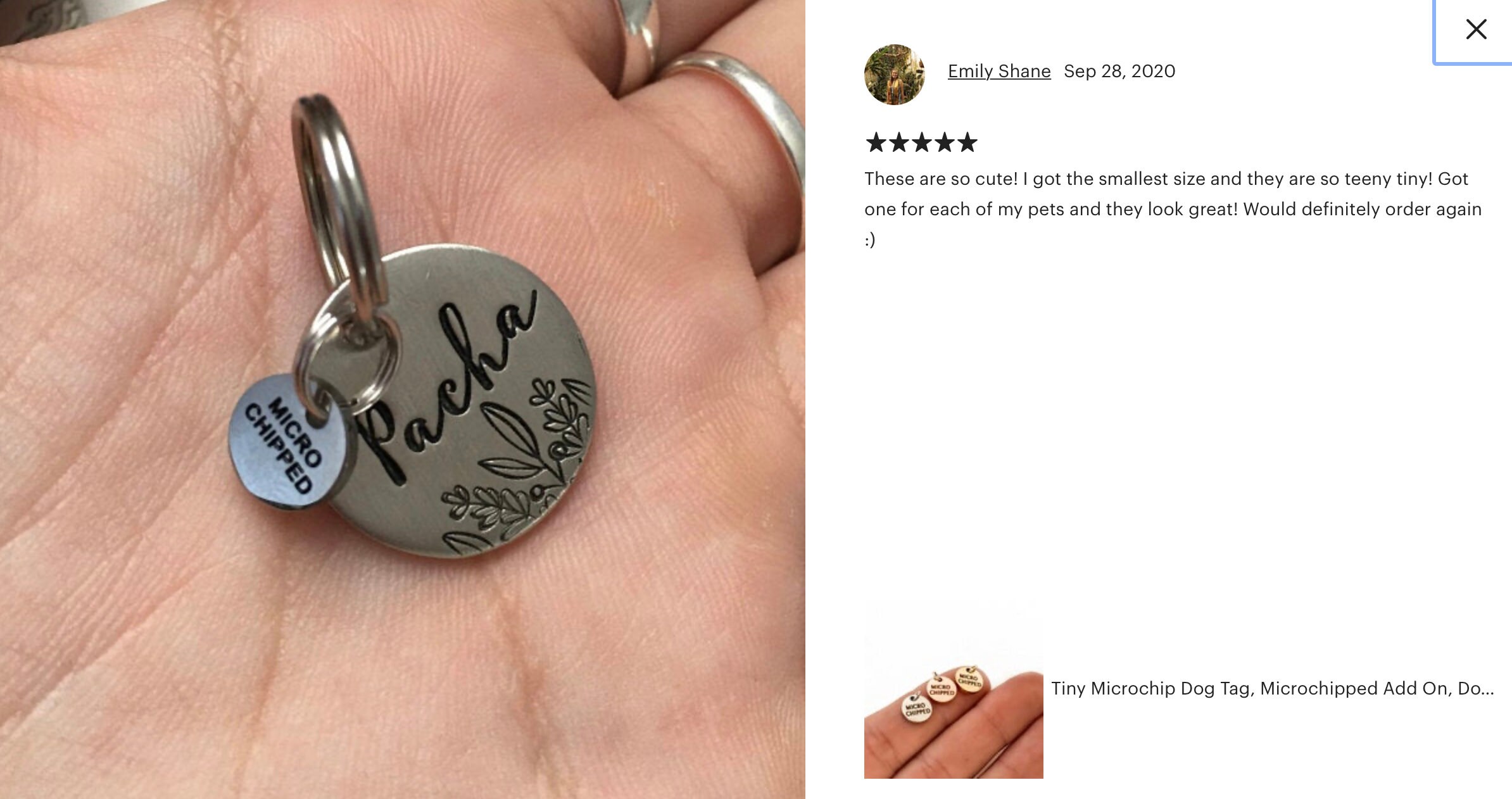 Tiny Microchip Dog Tag Microchipped Add On Dog Collar Pet - Etsy