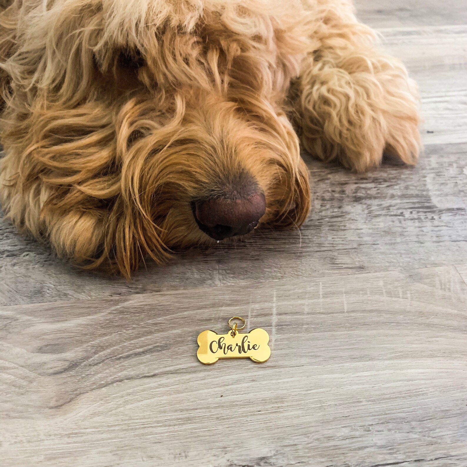 Custom Dog Tag in Gold Silver Rose Gold or Black Engraved - Etsy
