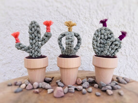 Boho Cactus Home Decor, Shelf Decor Set, Cactus Nursery Decor, Cactus ...