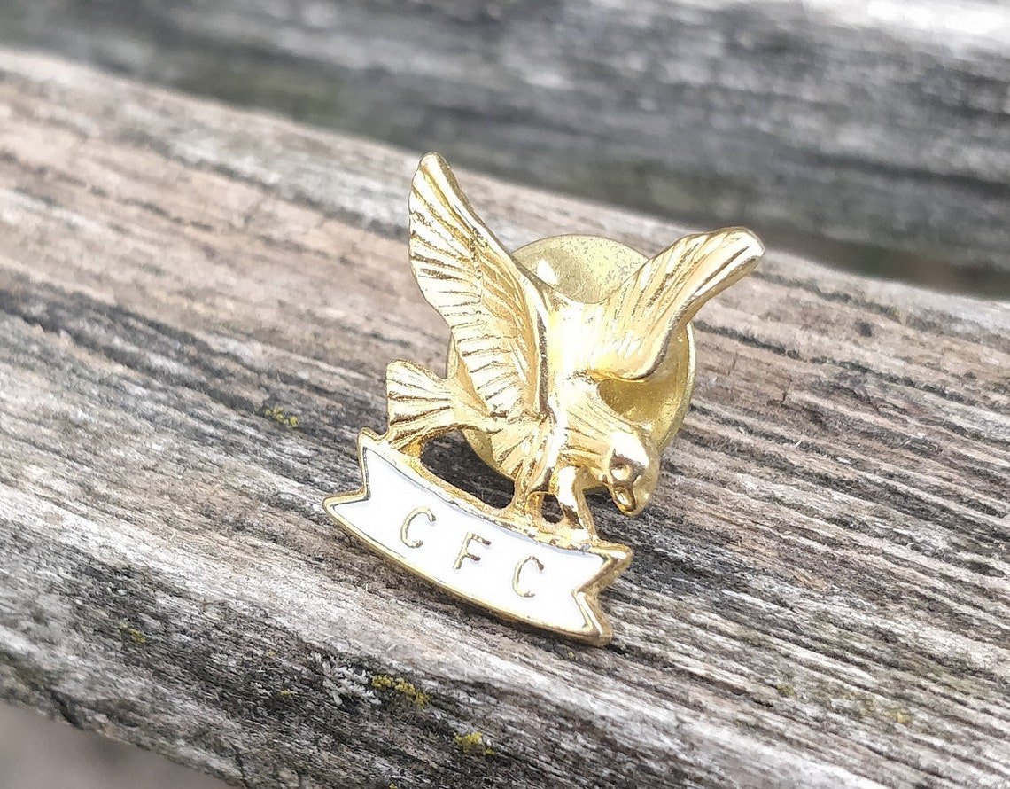 Vintage CFC Pin. Eagle Pin. Combined Federal Campaign. - Etsy