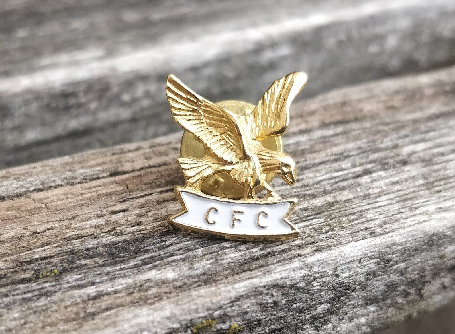 Vintage CFC Pin. Eagle Pin. Combined Federal Campaign. - Etsy